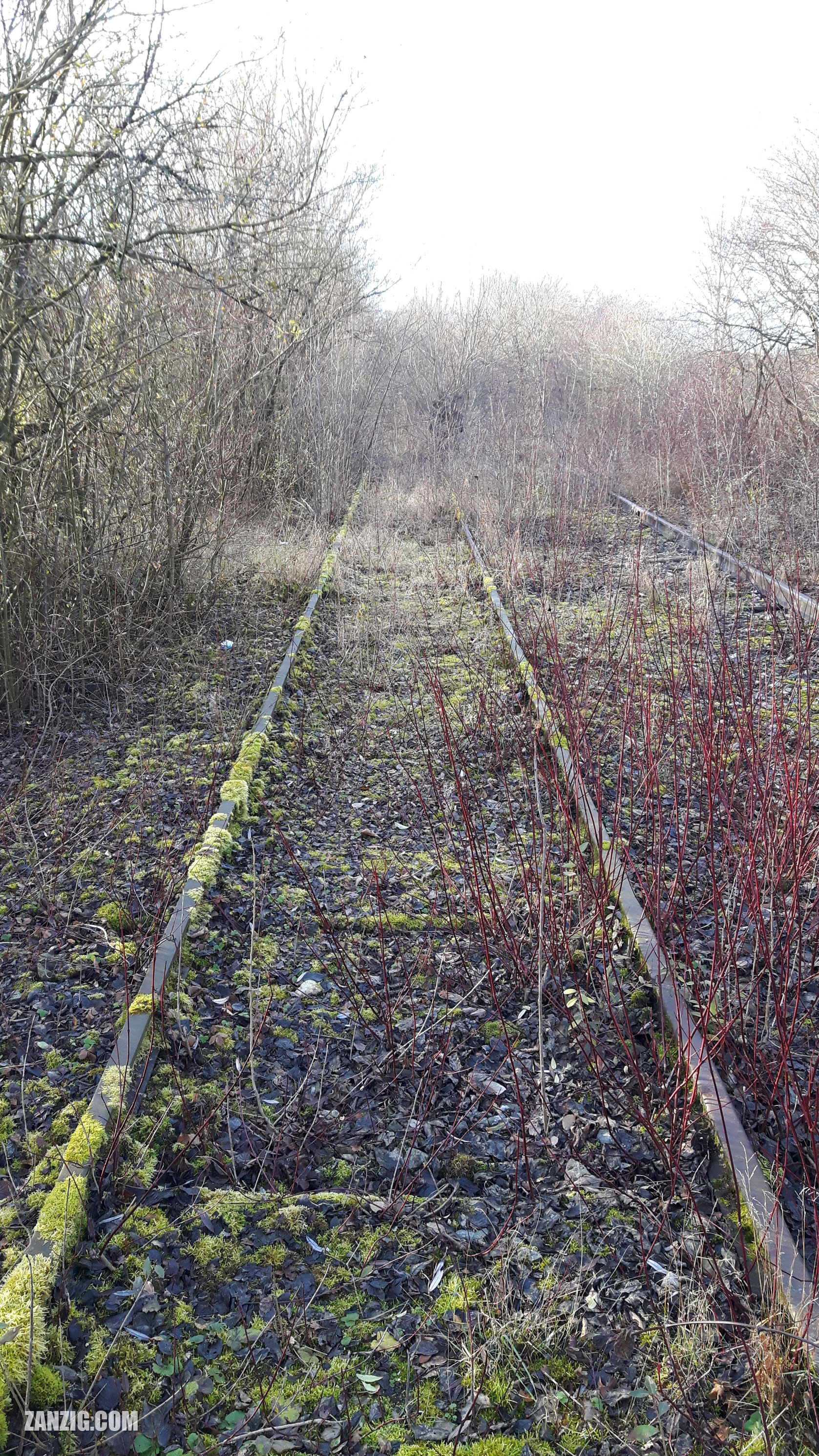 Abandoned Railroad Tracks, Unterhaching, Germany – Zanzig.com Photo Hub