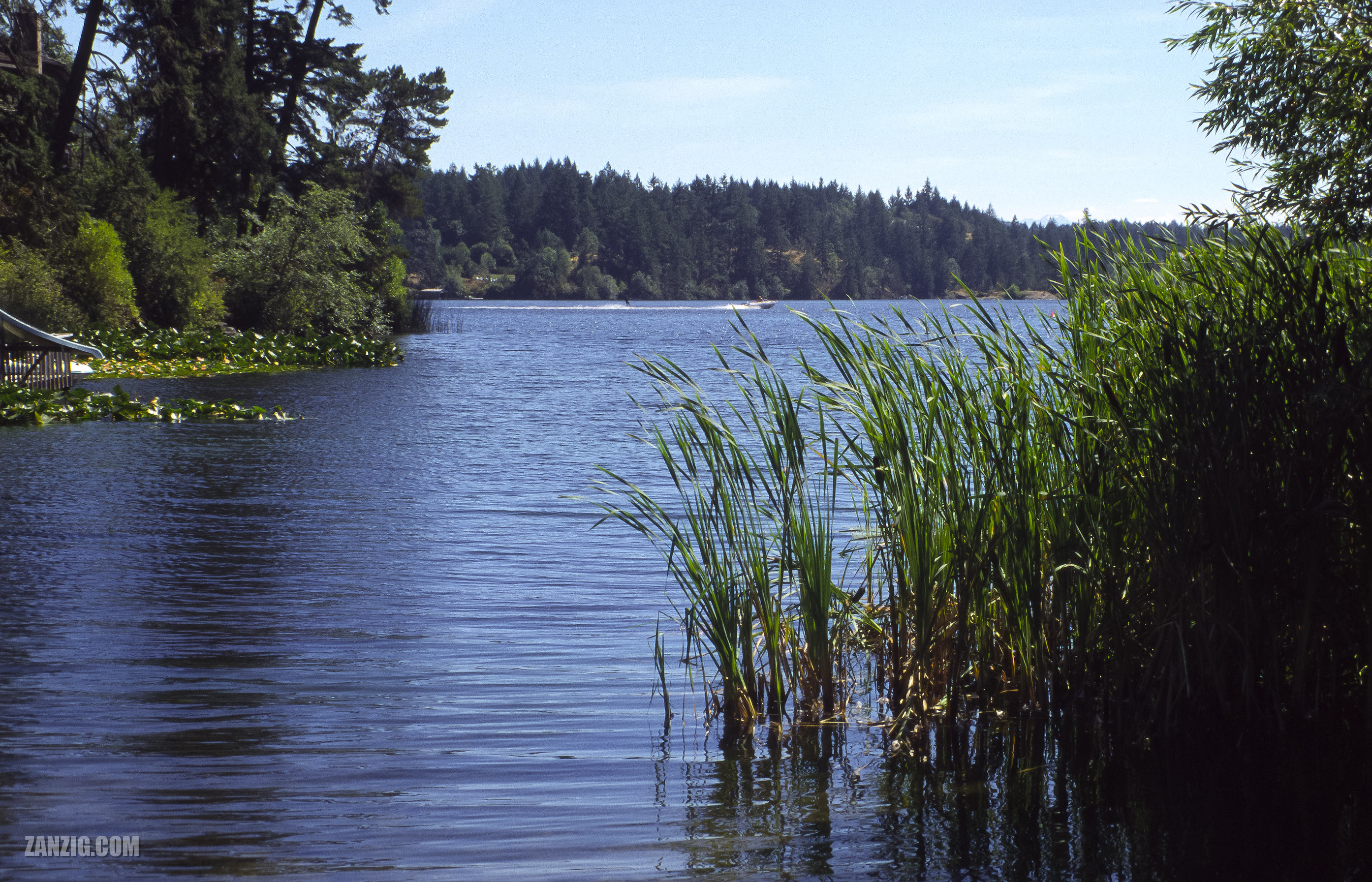 Prospect Lake, Vancouver Island, B.C. – Zanzig.com Photo Hub